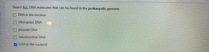 Solved Select ALL DNA molecules that can be found in the | Chegg.com
