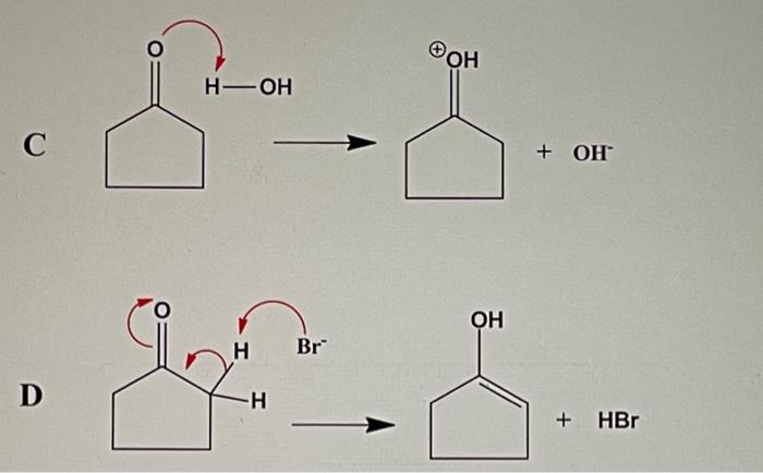 Solved о ОН + Br2 Br + H2O + Br: The first step in the | Chegg.com