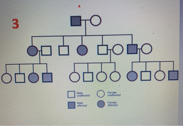 Solved Identify the mode of inheritance from the chart | Chegg.com