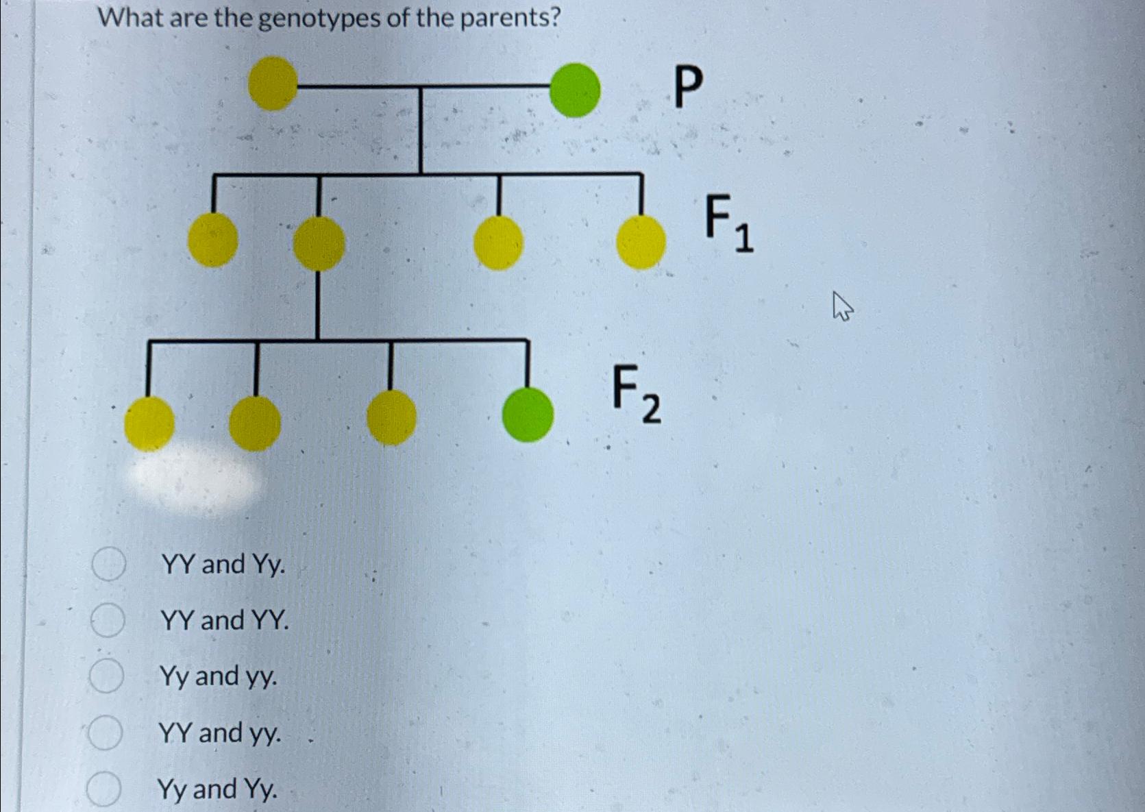 Solved What are the genotypes of the parents?PF1F2 | Chegg.com