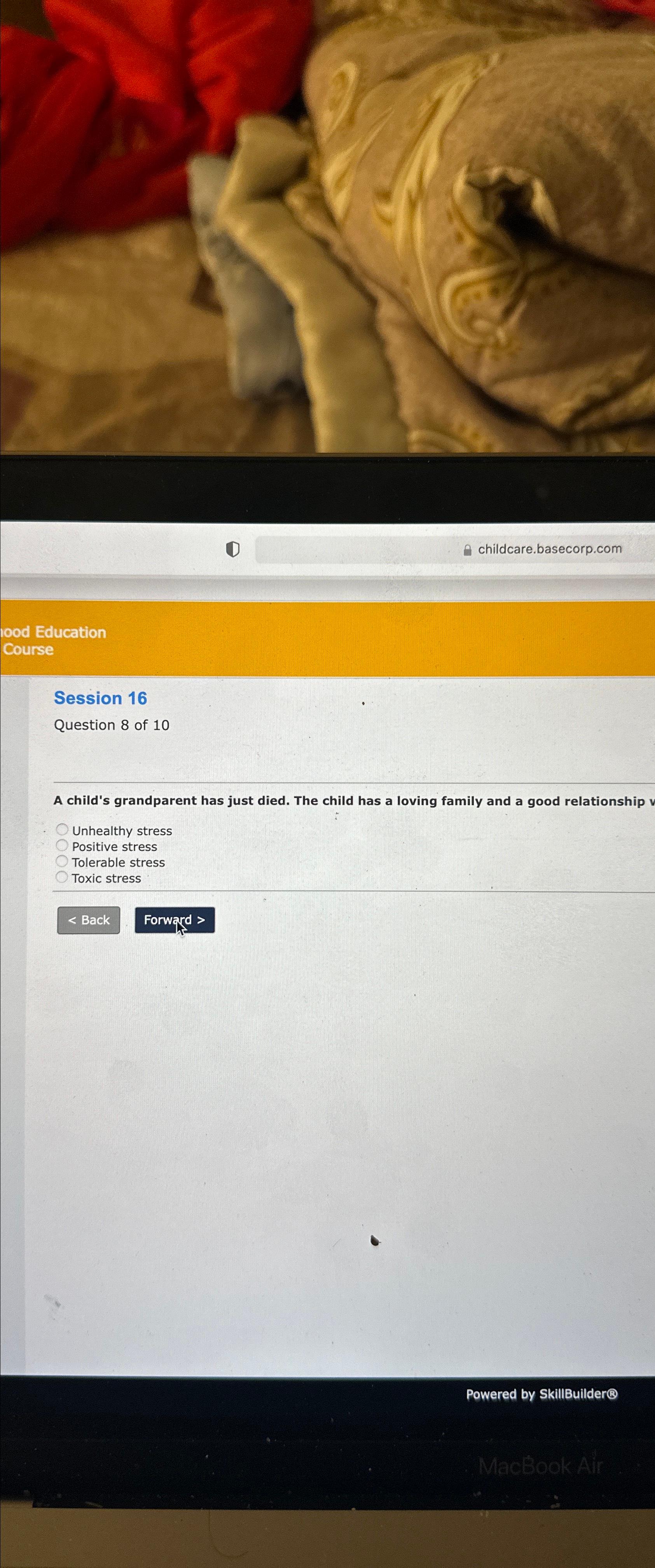 Solved (1)childcare.basecorp.comlood Education CourseSession | Chegg.com