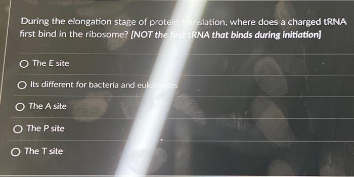 Solved During the elongation stage of protein translation, | Chegg.com