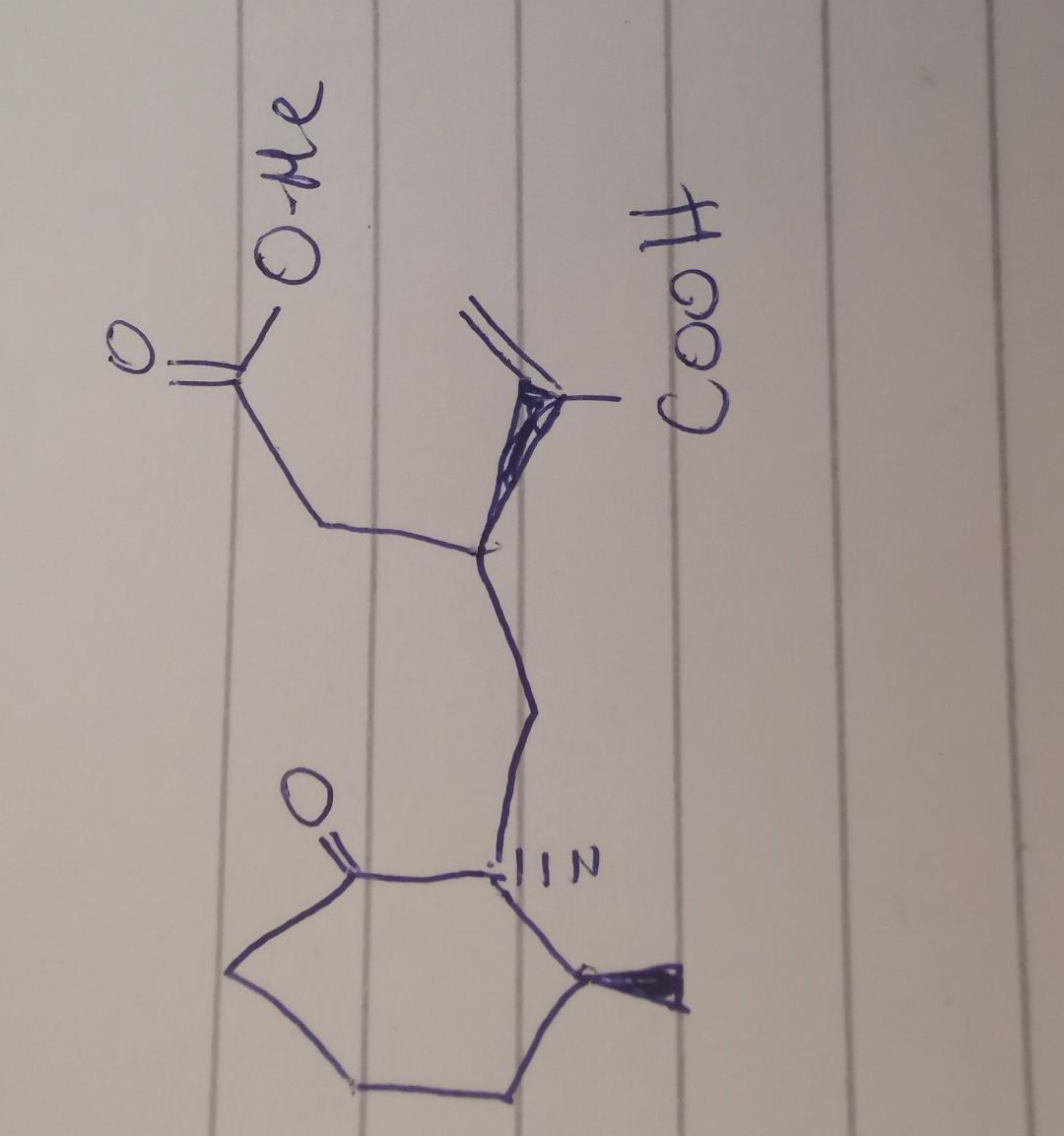 Solved write the name of this structure | Chegg.com