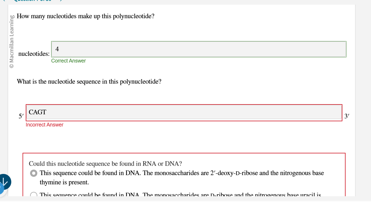 Solved How many nucleotides make up this | Chegg.com