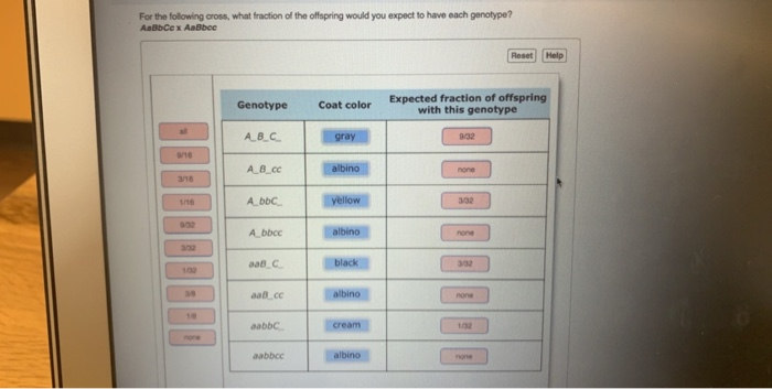 Solved in rats, the following genotypes of two independently | Chegg.com