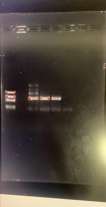 create a table detailing the results from the | Chegg.com