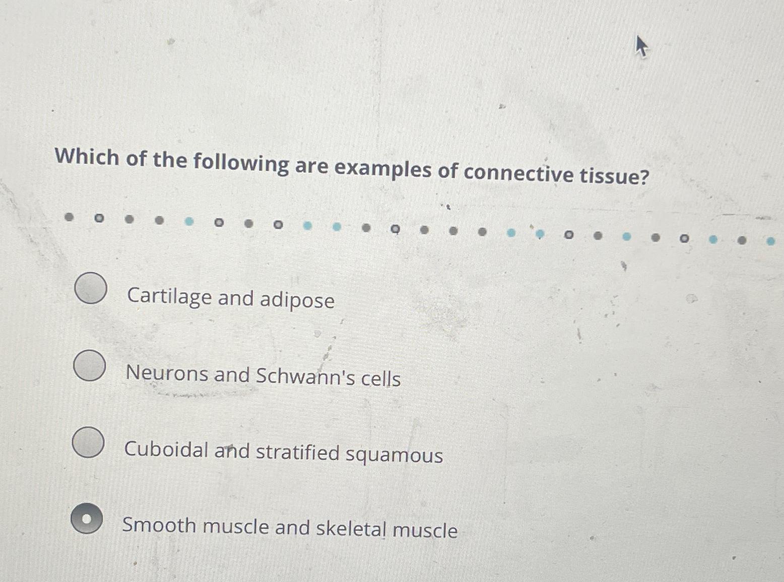 Solved Which of the following are examples of connective | Chegg.com