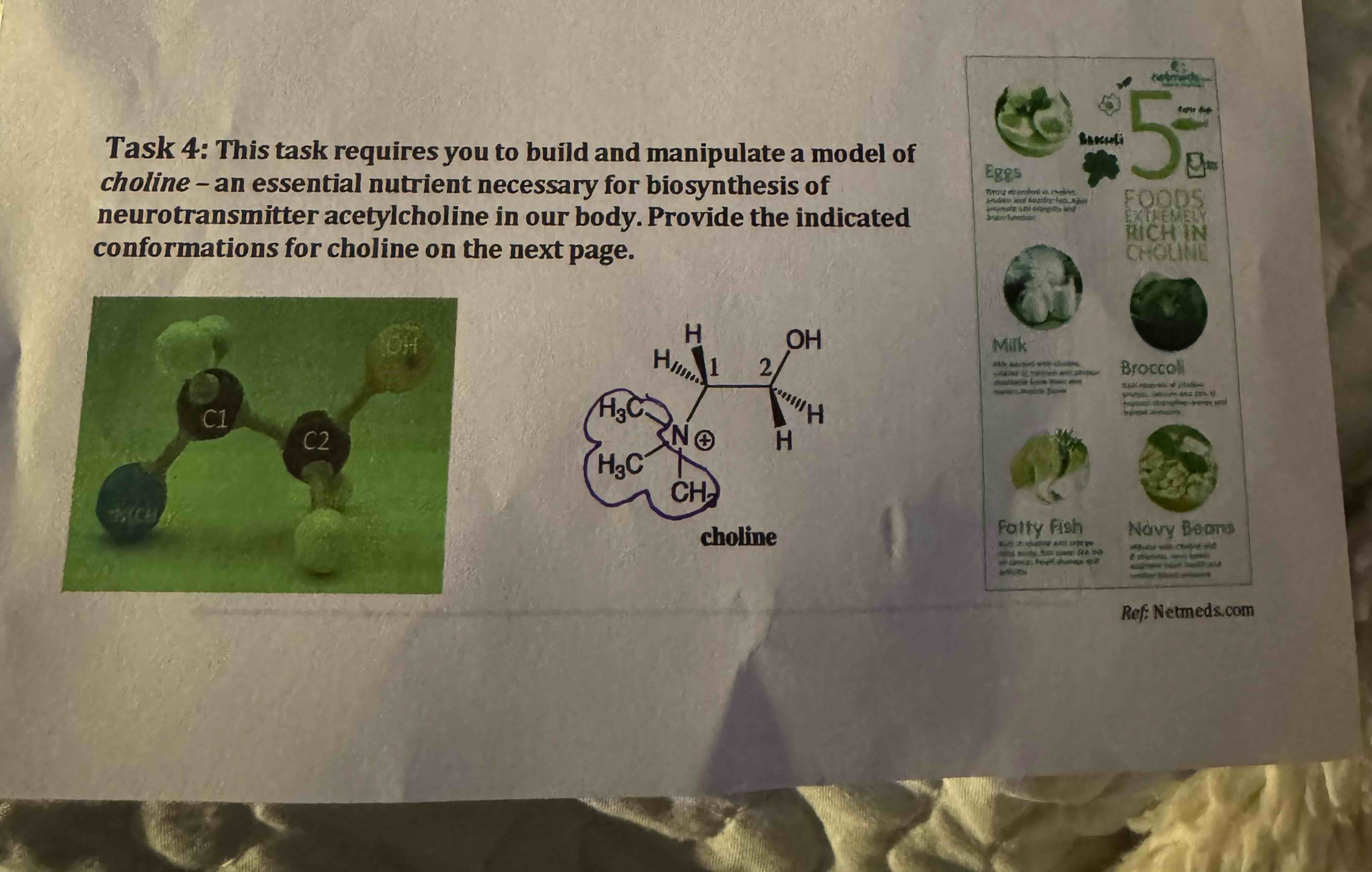 Solved Task 4: This task requires you to build and | Chegg.com