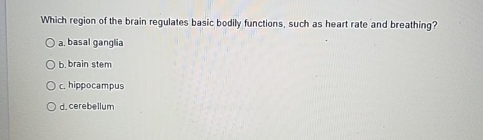 Solved Which region of the brain regulates basic bodily | Chegg.com