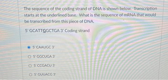 Solved The sequence of the coding strand of DNA is shown | Chegg.com