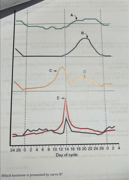 Solved which hormone are represent for each letter?? from A | Chegg.com
