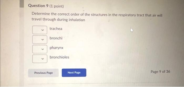 Solved Determine the correct order of the structures in the | Chegg.com