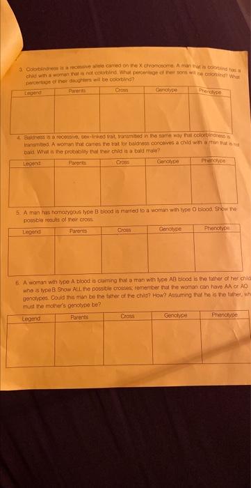 Solved oak What is the probablyy thal eneir chid is a bald | Chegg.com