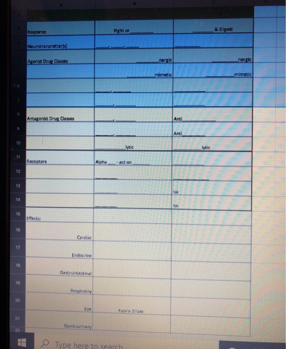 Solved Response Fight of & Digest Neurotransmiters Agonist | Chegg.com