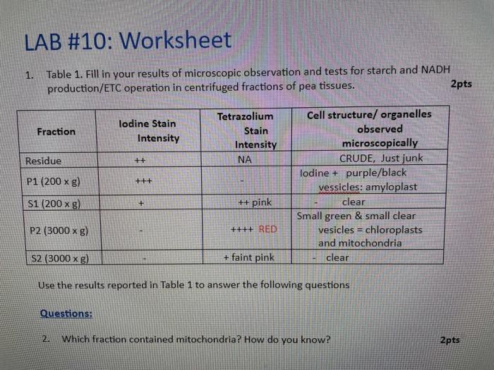 Solved LAB #10: Worksheet 1. Table 1. Fill in your results | Chegg.com