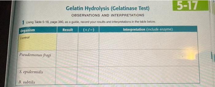 Solved Gelatin Hydrolysis (Gelatinase Test) OBSERVATIONS AND | Chegg.com