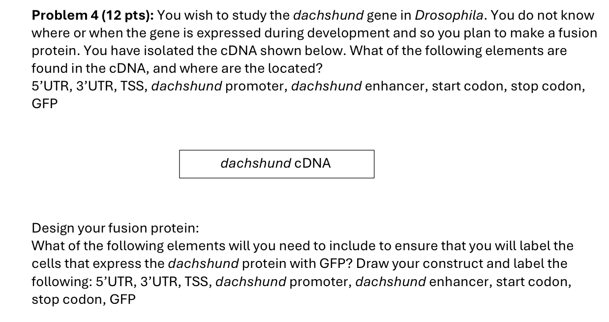 Solved Problem 4 (12 ﻿pts): You wish to study the dachshund | Chegg.com