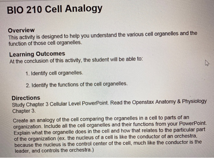 BIO 210 Cell Analogy Overview This activity is | Chegg.com
