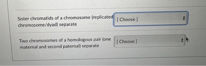 Solved Sister chromatids of a chromosome (replicated | Chegg.com