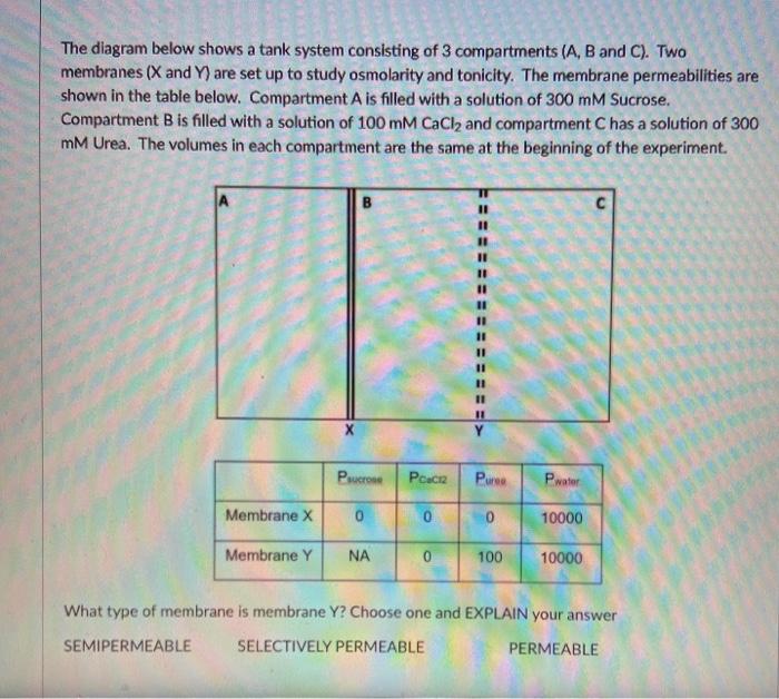 Solved The diagram below shows a tank system consisting of 3 | Chegg.com