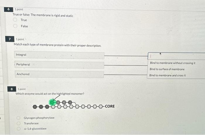 Solved True or false: The membrane is rigid and static True | Chegg.com
