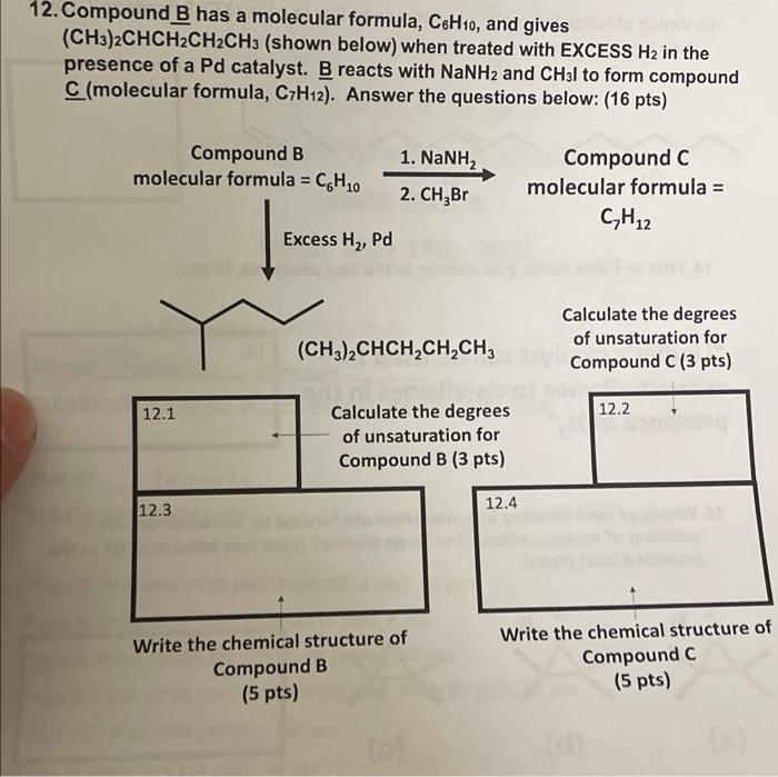 Solved 12. Compound B has a molecular formula, C6H10, and | Chegg.com