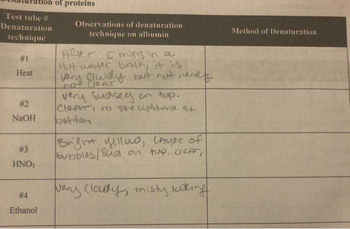 Solved Method of Denaturation ton of proteins Test tube # | Chegg.com
