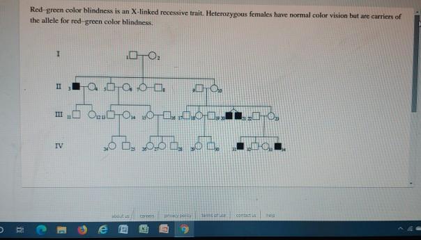 Solved Red green color blindness is an X-linked recessive | Chegg.com