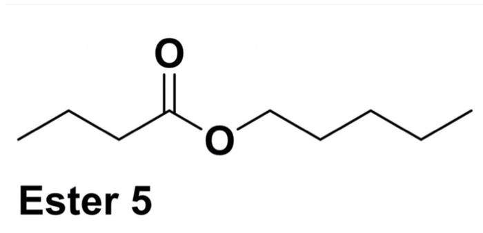 Solved Ester 5 | Chegg.com