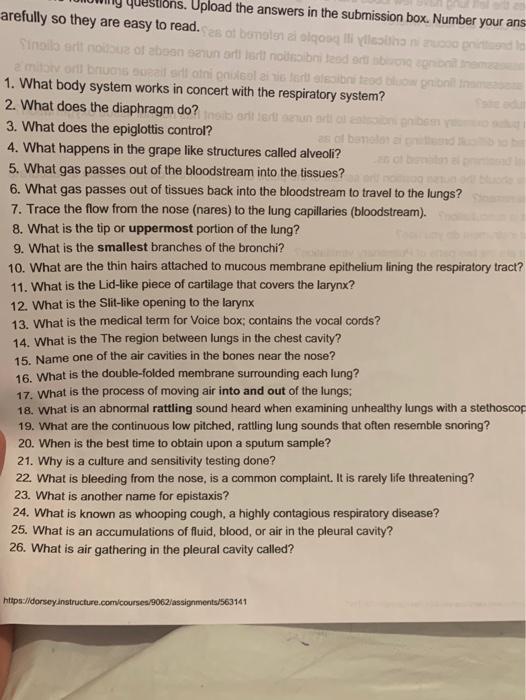 Solved questions. Upload the answers in the submission box. | Chegg.com