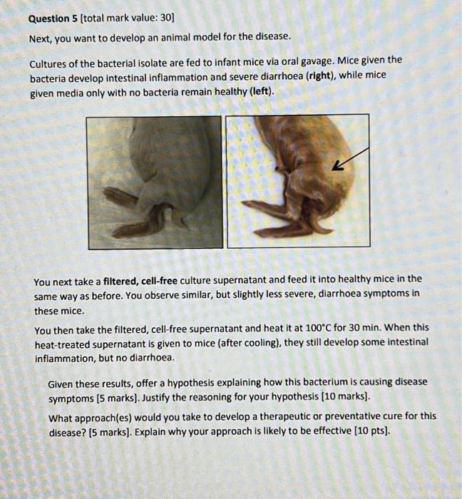 Solved Questions 3 through 5 apply to the following scenario | Chegg.com