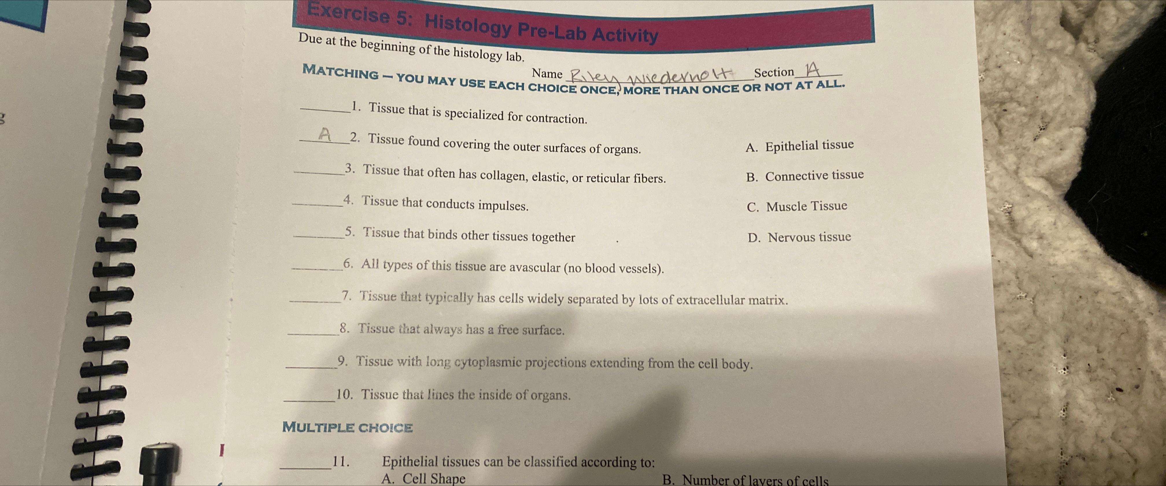 Solved Exercise 5: Histology Pre-Lab ActivityDue at the | Chegg.com