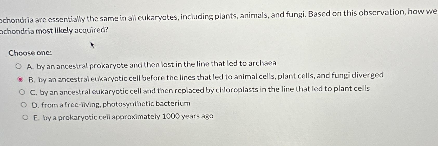 Solved chondria are essentially the same in all eukaryotes, | Chegg.com