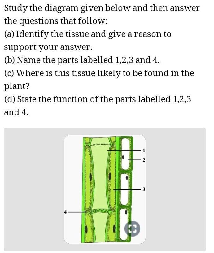 Solved Study the diagram given below and then answer the | Chegg.com