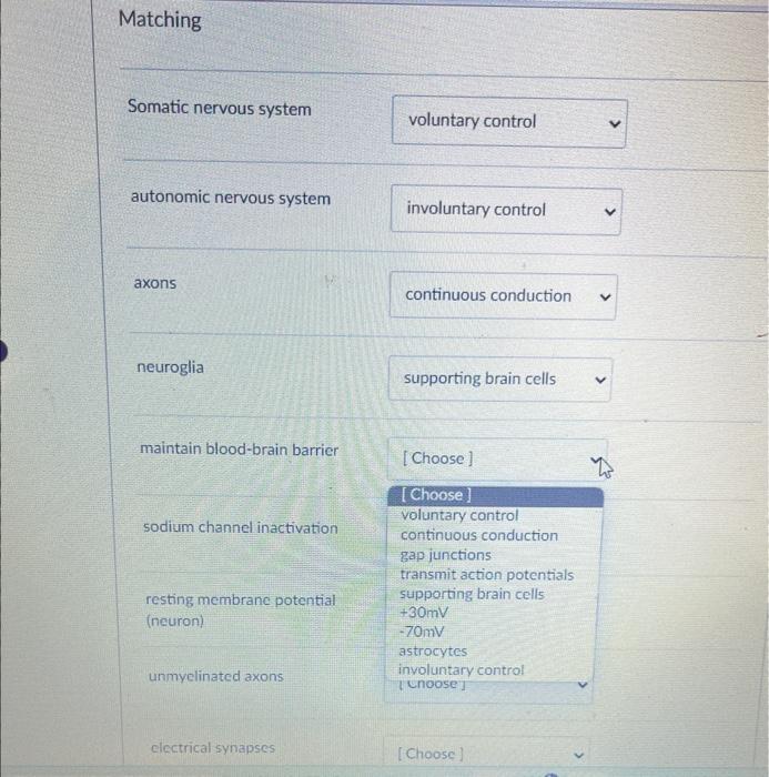 Solved Matching Somatic nervous system autonomic nervous | Chegg.com