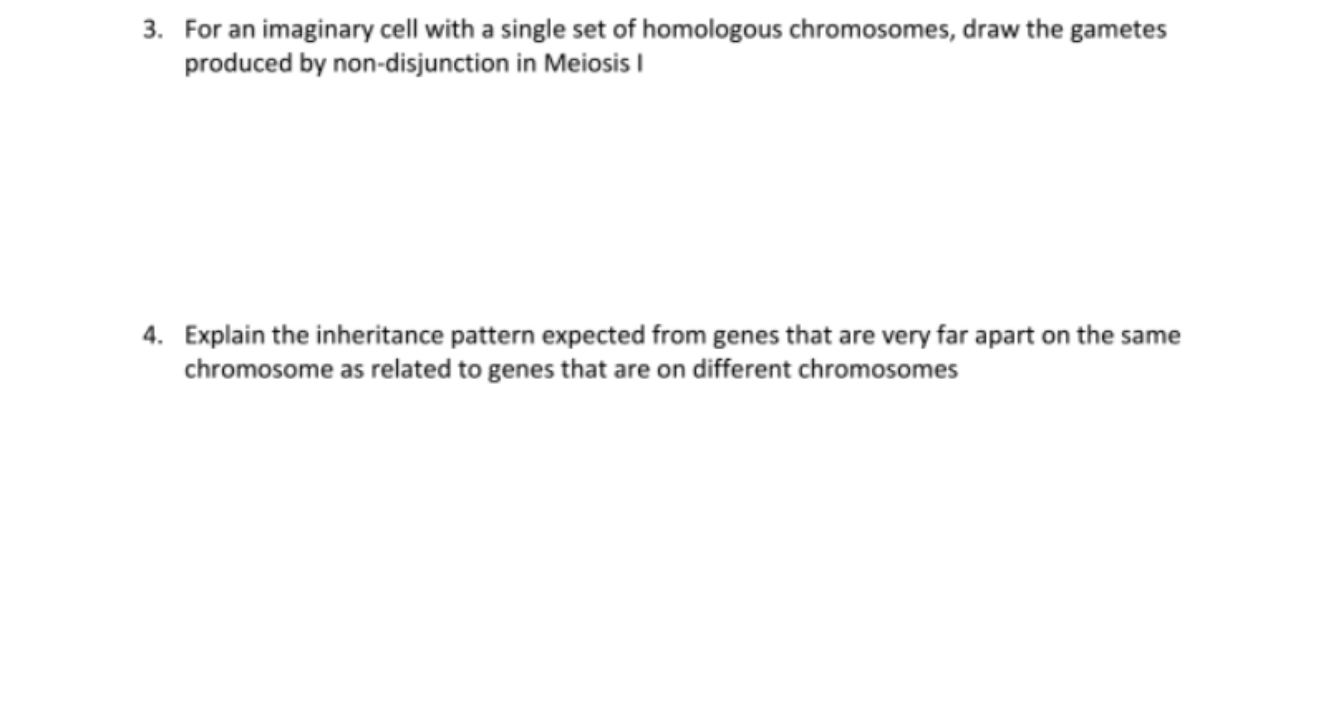 Draw a pair of homologous chromosomes after S ﻿phase | Chegg.com