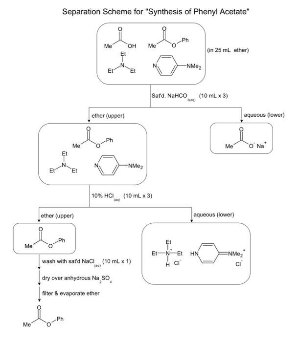 Solved Hi, I need a separation scheme for this experiment | Chegg.com
