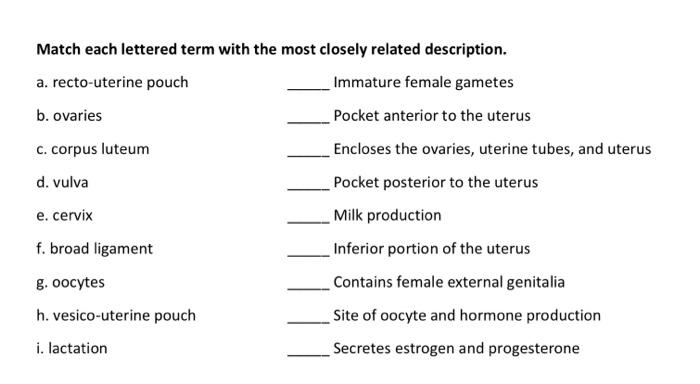 Solved Match each lettered term with the most closely | Chegg.com