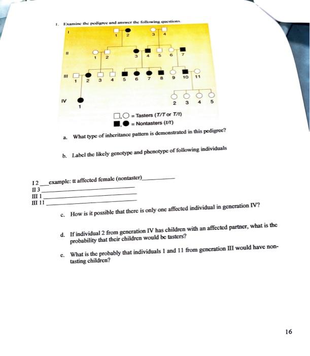 Solved i need all of every question answered and well | Chegg.com