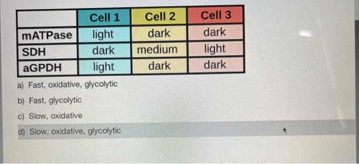 Solved Cell 2 dark medium dark Cell 3 dark light dark Cell 1 | Chegg.com