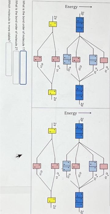 Solved Energy 2p 2s What is the bond order of molecule 1? | Chegg.com