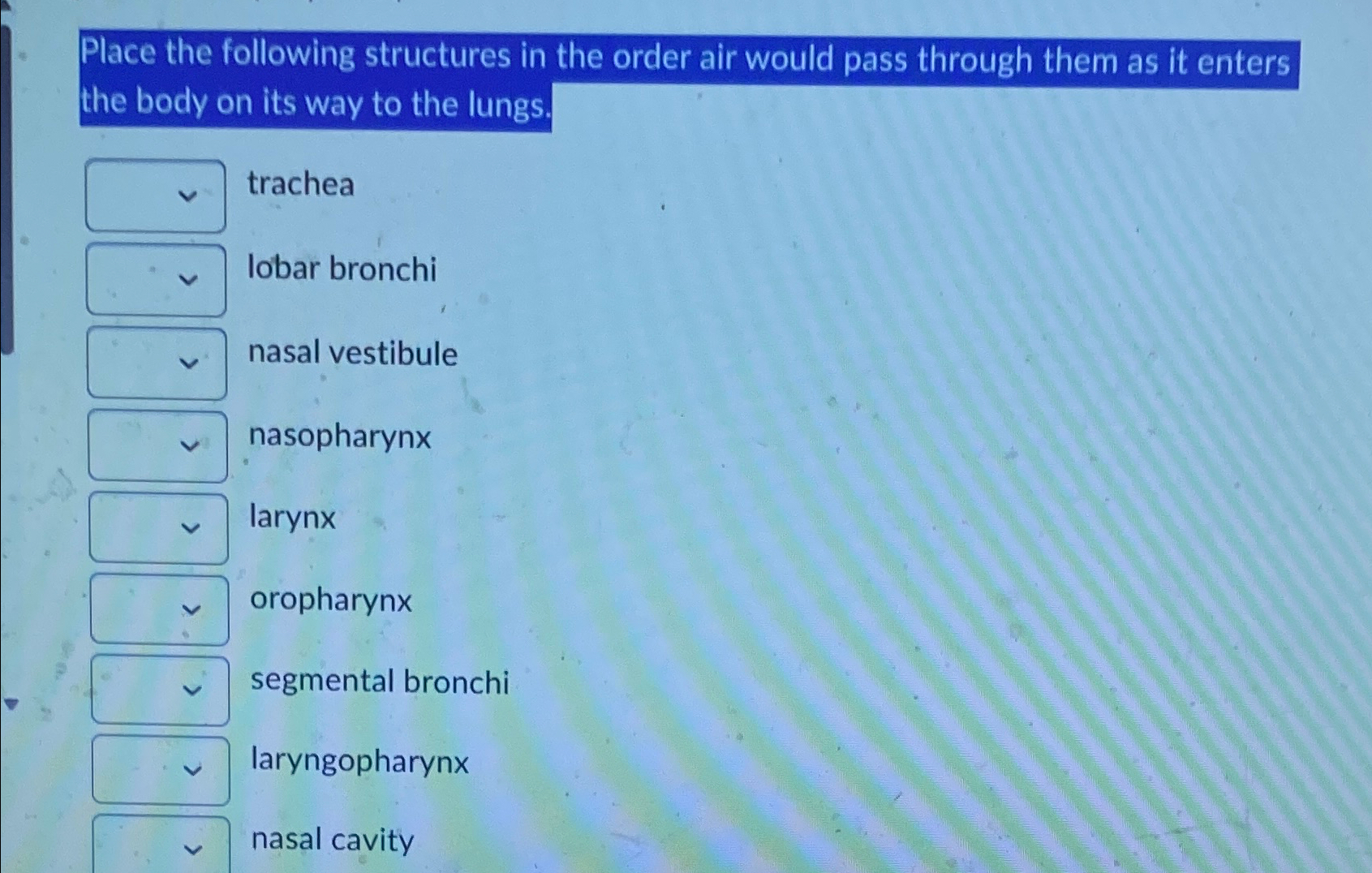 Solved Place the following structures in the order air would | Chegg.com