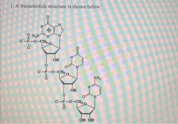 Solved What is the three Letter sequence of this | Chegg.com