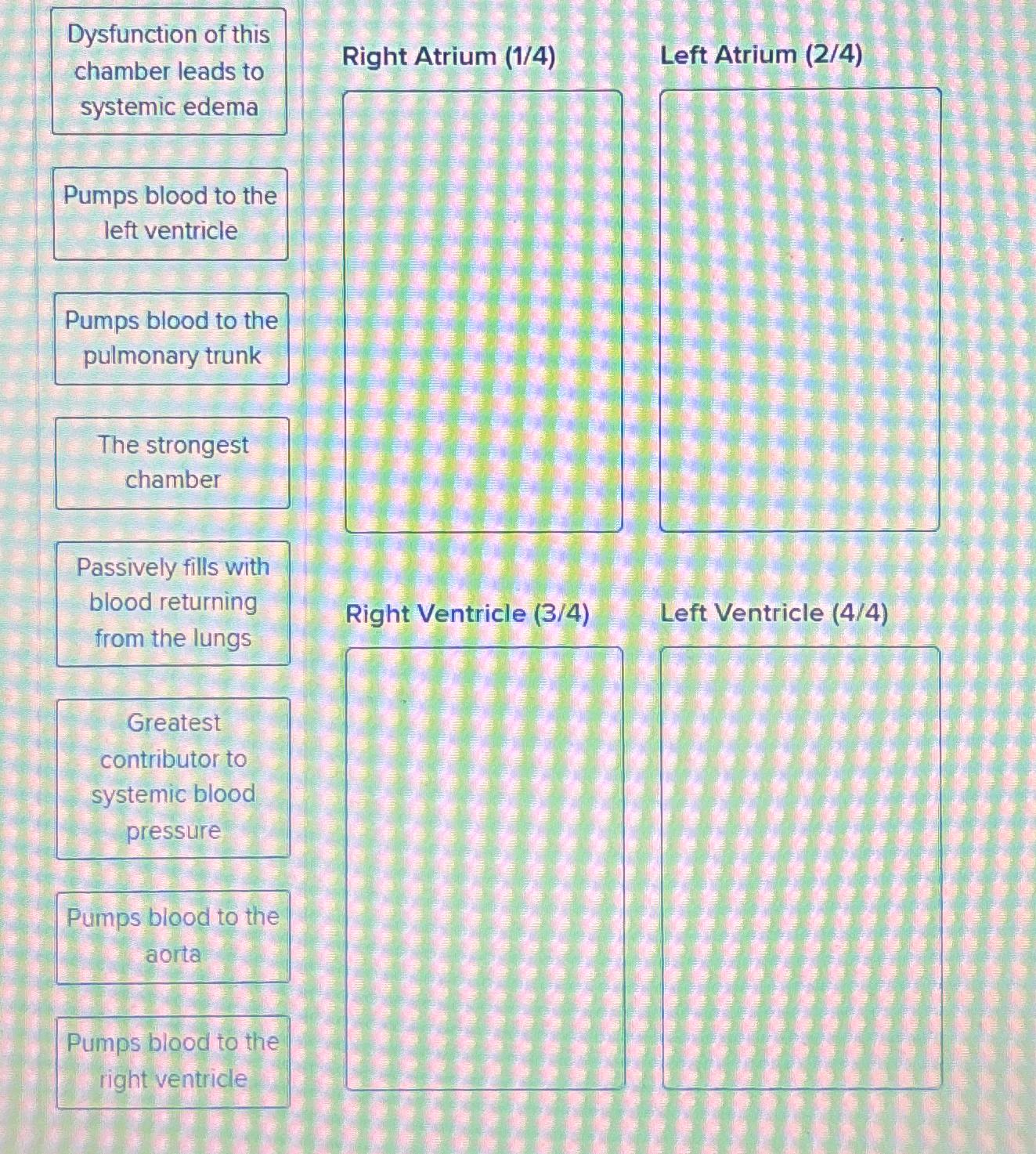 Solved Dysfunction of this chamber leads to systemic | Chegg.com