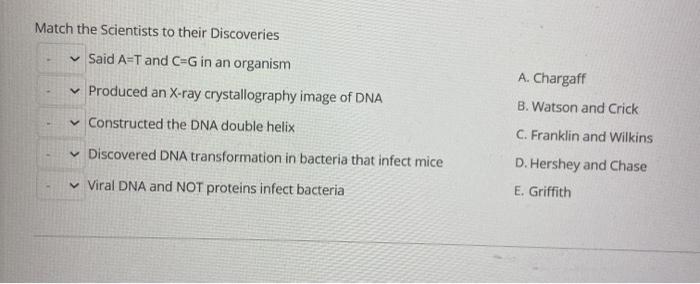Solved Match the Scientists to their Discoveries Said A=T | Chegg.com