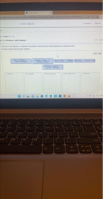 Solved Sort these reactions into the proper calegories. | Chegg.com