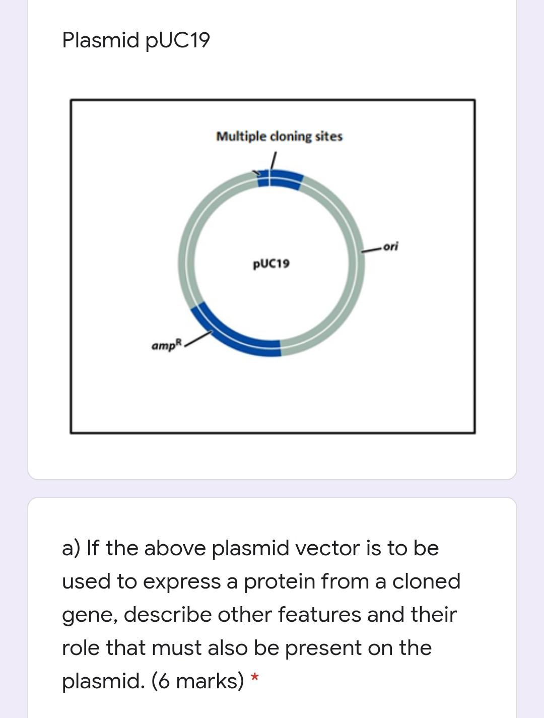 Solved Plasmid PUC19 Multiple cloning sites ori PUC19 ampR | Chegg.com