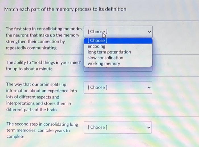 Solved Match each part of the memory process to its | Chegg.com