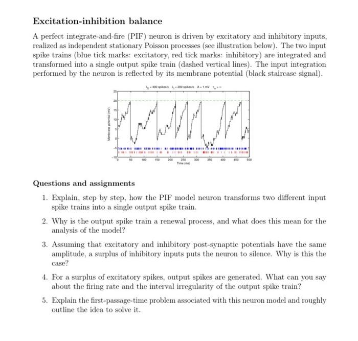 Solved Excitation-inhibition balance A perfect | Chegg.com