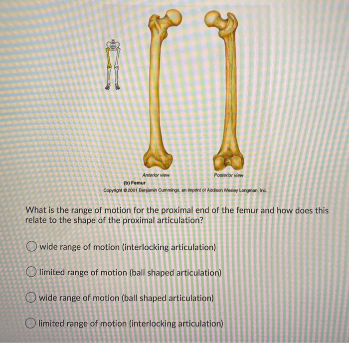 Solved What is the range of motion for the proximal end of | Chegg.com